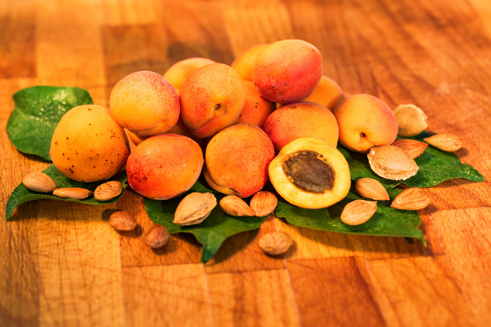 The Potential Benefits of Apricot Seeds: A Comprehensive Guide - NO GLORY